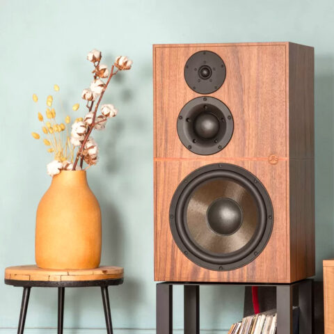 리바이벌 오디오 (Revival Audio) - 공식수입원 SOUNDTRADE